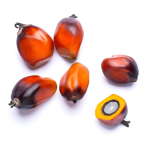 ACEITE VEGETAL DE BATANA / OJON – B2B Royal Bio