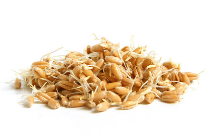 ACEITE GERMEN DE TRIGO REFINADO – B2B Royal Bio