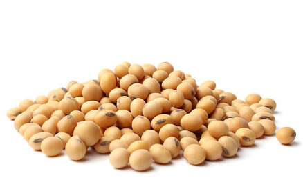 REFINED IP SOYBEAN OIL (NON-GMO) – B2B Royal Bio