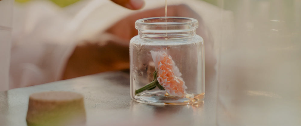 Royalbio - Mayorista B2B de aceites vegetales y esenciales – B2B Royal Bio