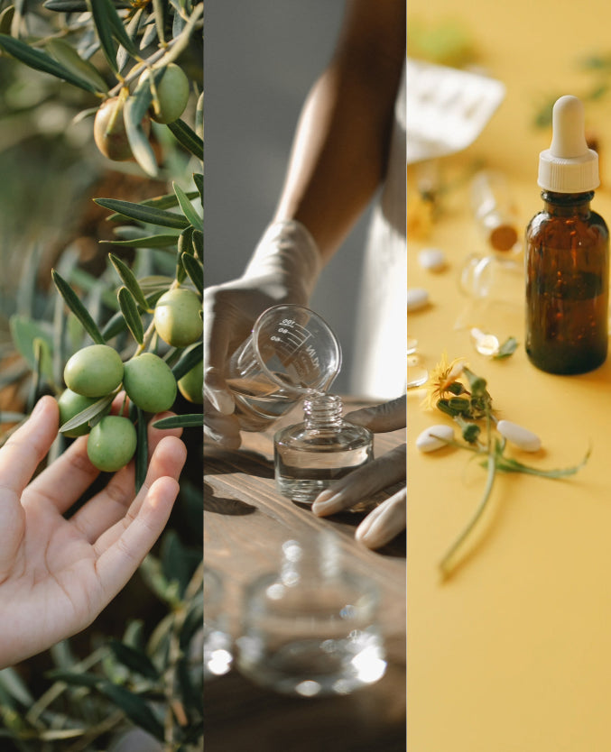 Quality and Certificates – B2B Royal Bio